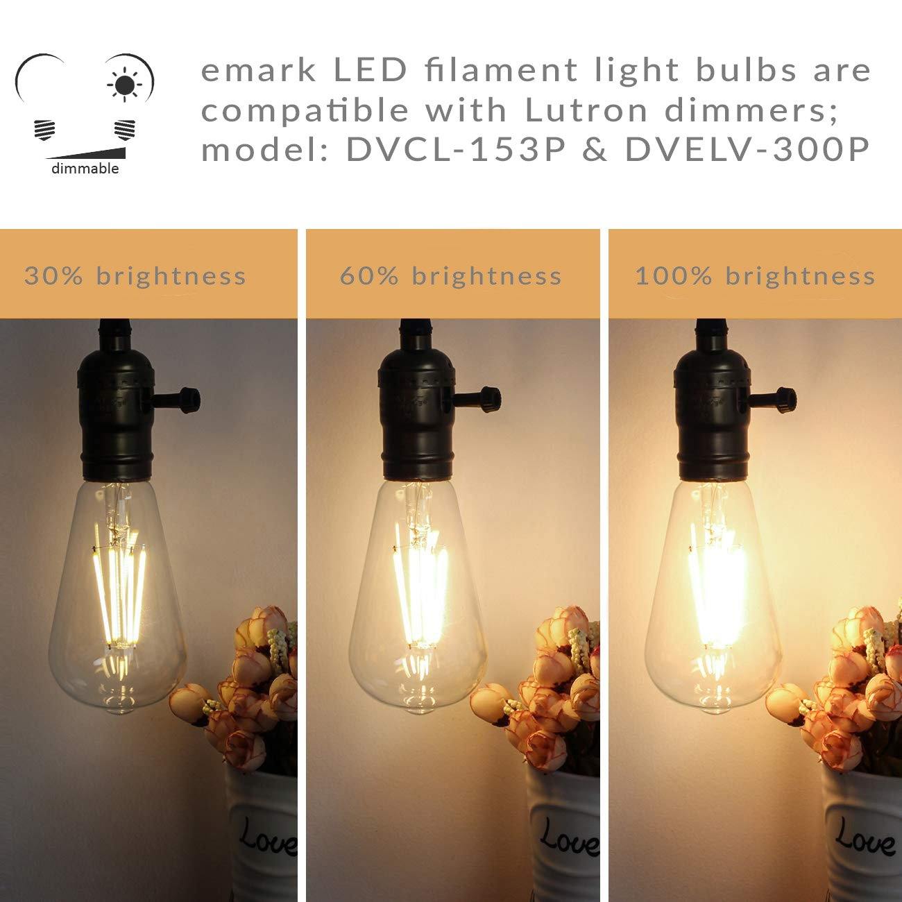 Edison ST64 Vintage Style 40 Watt Equivalent Warm White Dimmable LED ...